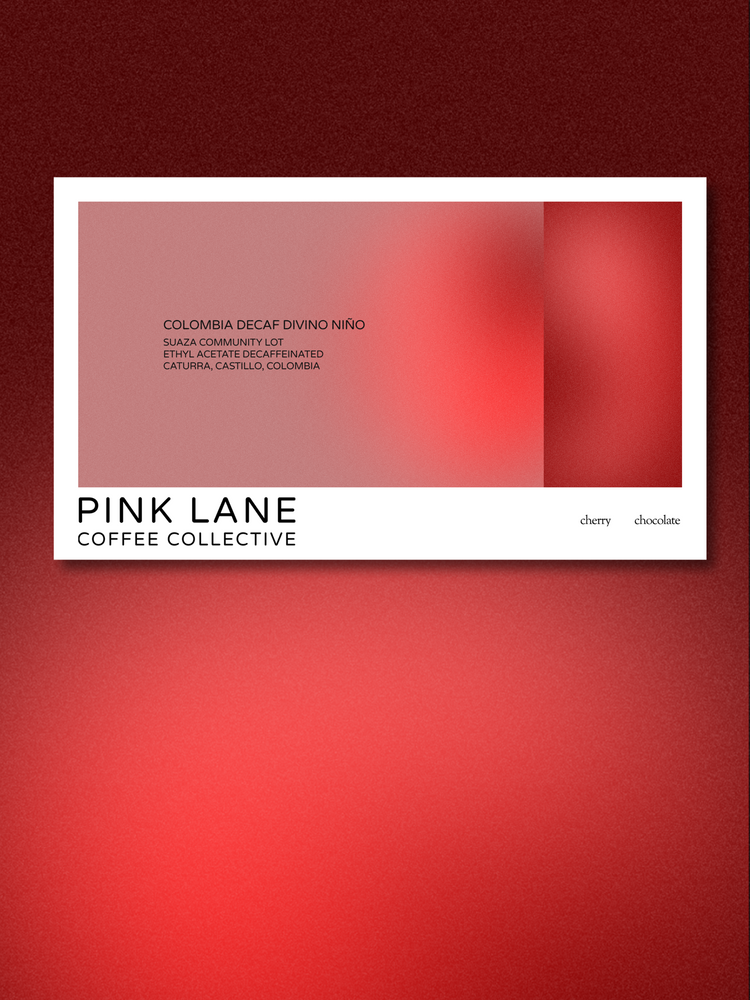 Pink Lane Cafe Newcastle Upon Tyne – Pink Lane Coffee Collective