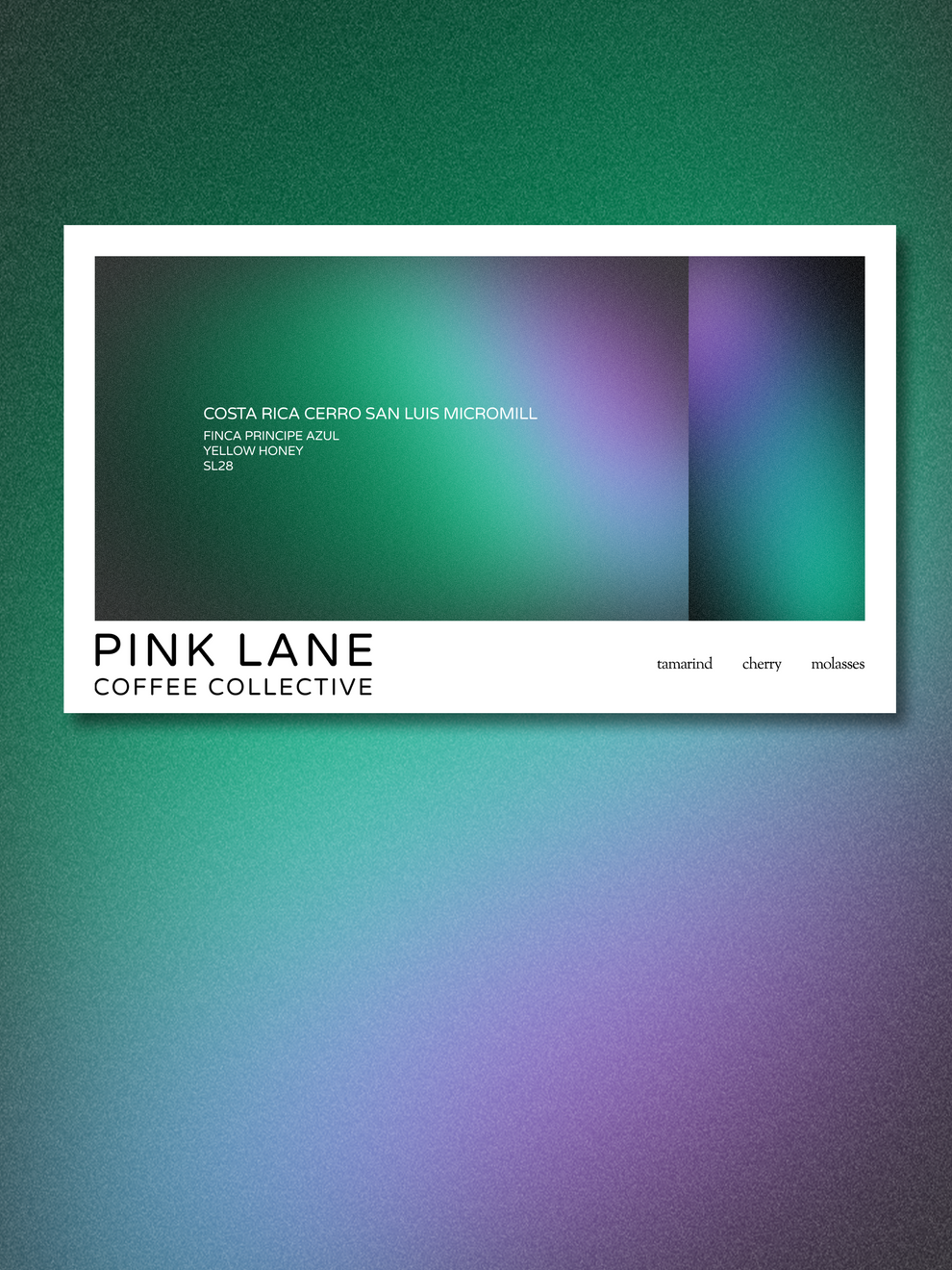 Pink Lane Coffee – Pink Lane Coffee Collective